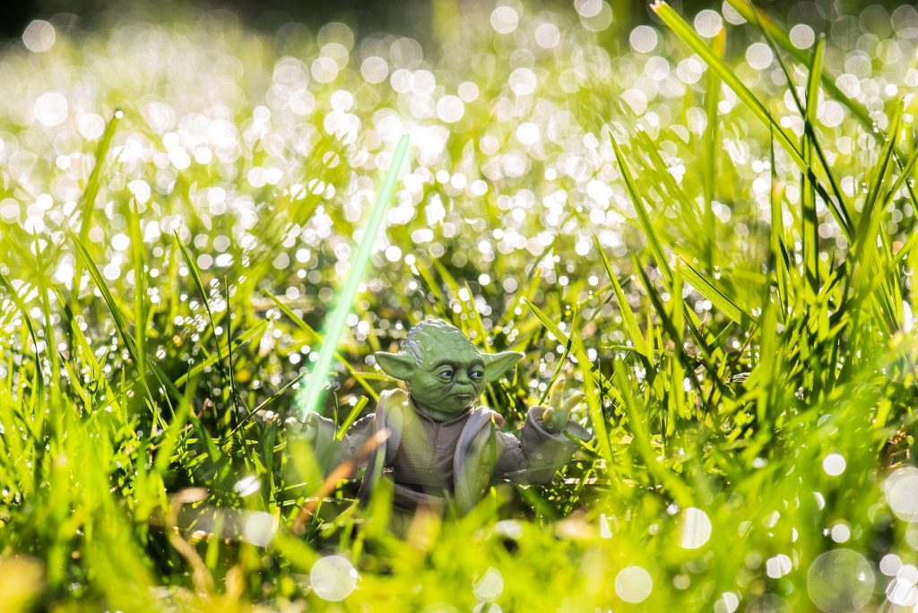 Levitating With Yoda - Equal Motion