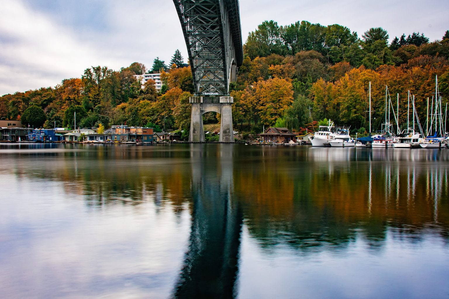 aurora-bridge-fall-colors - Equal Motion