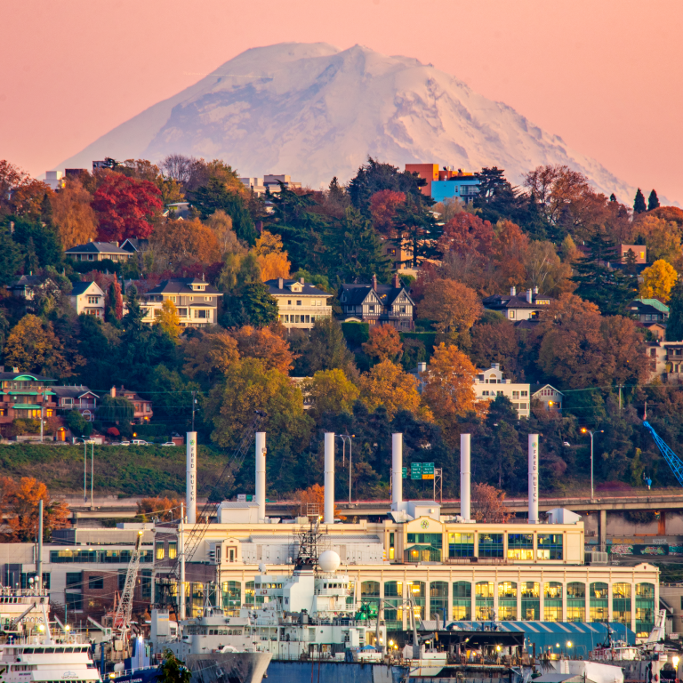 Hunting For Fall Colors In Seattle - Equal Motion